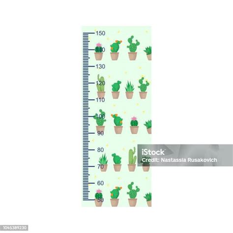 성장 미터 어린이 높이 측정 선인장 벡터 일러스트입니다 0명에 대한 스톡 벡터 아트 및 기타 이미지 0명 귀여운 규모 Istock