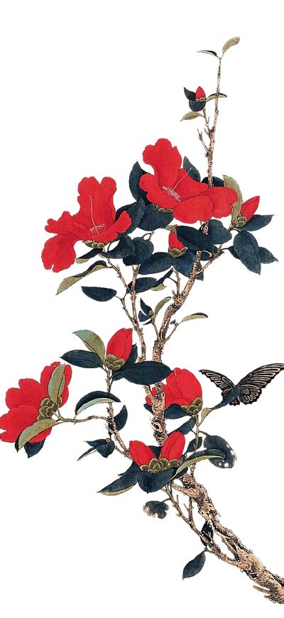 国画、工笔画 堆糖，美图壁纸兴趣社区