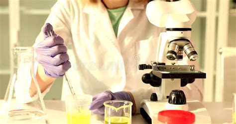 Scientist Takes Sample Of Urine And Pours On Microscope Stage Stock