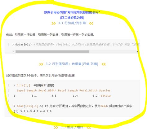 r语言入门到可视化精选19题 知乎