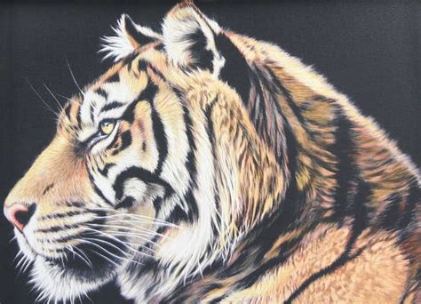 Darryn Eggleton South African B Auctions And Price Archive