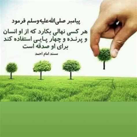 صحت محیطی و محیط زیست