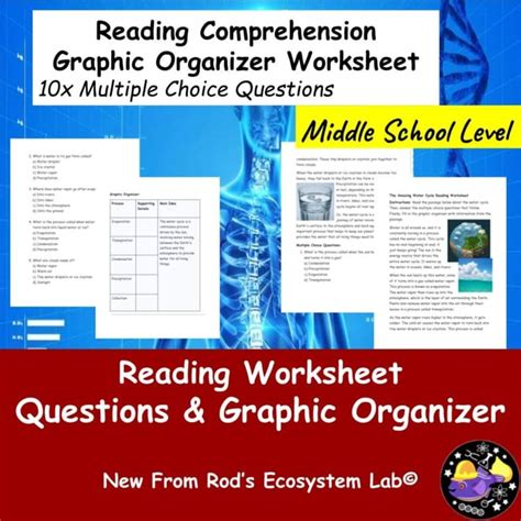 Bone Structure And Classification Reading Worksheet And Graphic Organizer
