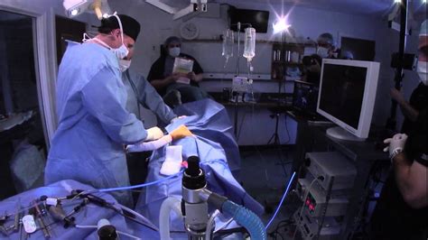 Arthroscopic Treatment Of Bilateral Fragmented Cornoid Process From