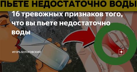 16 тревожных признаков того что вы пьете недостаточно воды Игорь Ботоговский Дзен