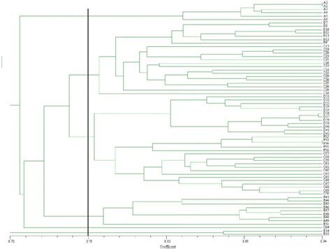 Upgma Dendrogram Of 70 Strawberry Accessions Based On Jaccards Download Scientific Diagram
