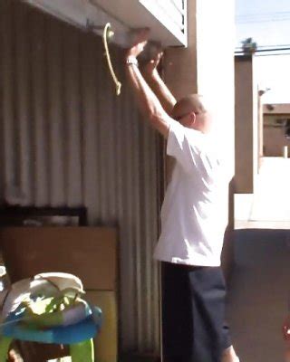 Brandi Passante Storage Wars Porn Pictures Xxx Photos Sex Images Pictoa