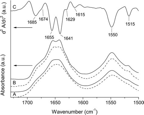 Absorbance A Deconvoluted B And Second Derivative C Spectra