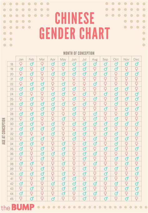 Chinese Gender Predictor Artofit