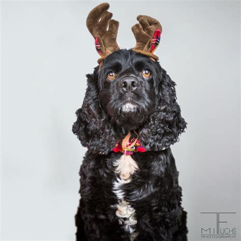 Tim Fuchs Photography