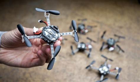 Рои микродронов смогут спасать жизни, копируя поведение насекомых ...