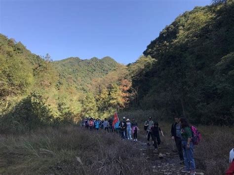 秋高气爽携手同登上青古道 每日头条