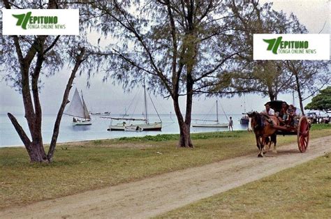 Nepituno Media Website Home