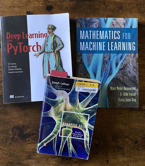 Deeplearning Neuroscience Pytorch Machinelearning Ai Books Iñigo Parra