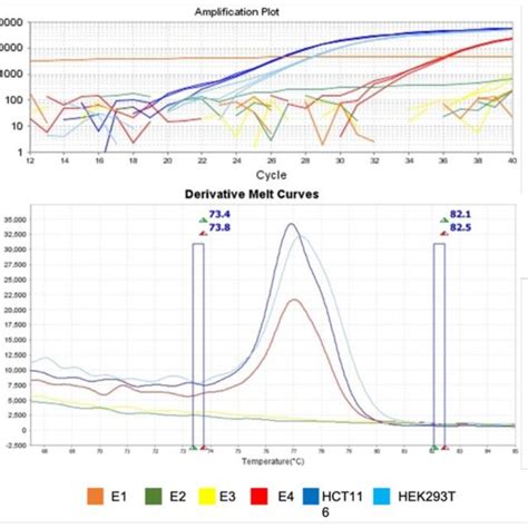 Amplification Result Of The Samples A Amplification Curve Of The Download Scientific Diagram