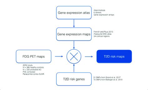 flowchart describing the datasets and proposed analysis download