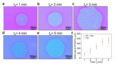 Fig S4 Time Evolution Ta 1 To 5 Min Of Domain A E Morphology And Download Scientific