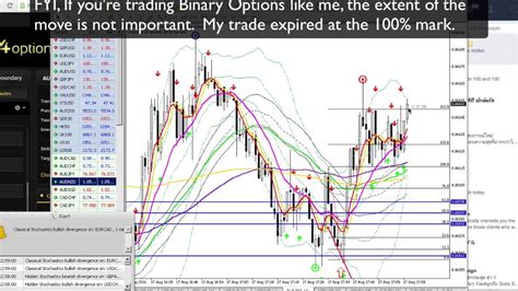 Free Fibonacci Retracement And Extension Training YouTube
