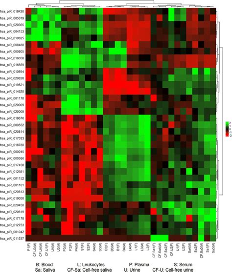 Heatmap Clustering Of Pirnas In Each Bodily Fluid The Sex Of Sample