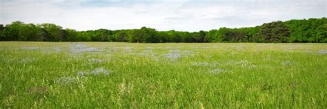 Customer Portal Azelis Advanced Materials And Additives Azelis