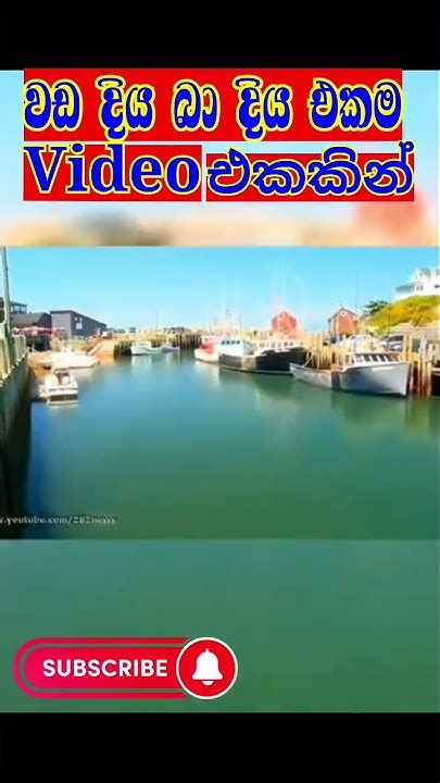 උදම් නිසා වෙනස් වන මුහුද The Tide And Reaction Sea Shorts Youtube