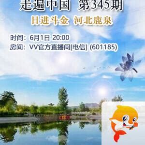 岩岩V娱热点 走遍中国第345期日进斗金 河北鹿泉 VV