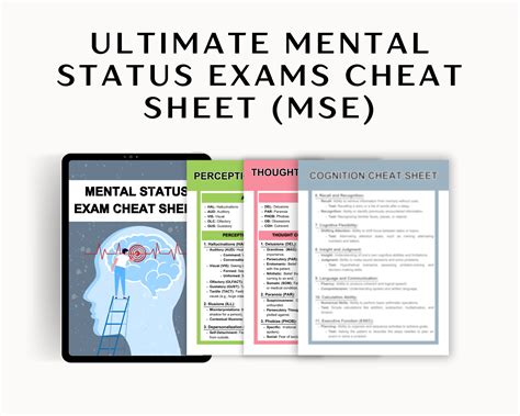 Mental Status Exam Cheat Sheet Mse Reference And Assessment Digital Download Etsy Mental Status Exam Cheat Sheet Mse Reference And Assessment Digital Download Etsy