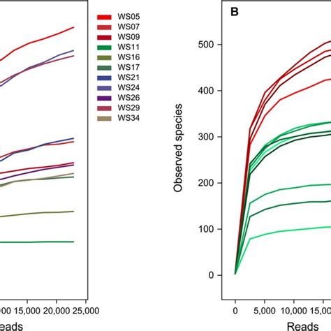 Rarefaction Curves Rarefaction Curves Presenting The Relationship Download Scientific Diagram