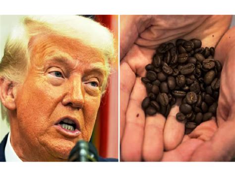 Giá Cà Phê Sẽ Gia Tăng ở Canada Thời Báo Newspaper Featured