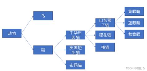 Java第九课——继承java 子类和父类成员变量重名 Csdn博客