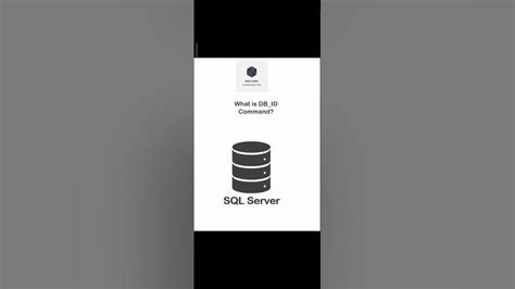 db id command sql server shorts datacodex sqlserver sqlforbeginners youtube