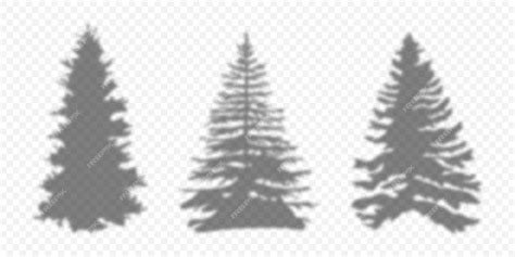 Premium Vector Silhouette Christmas Tree Shadow Pine Tree Shadow