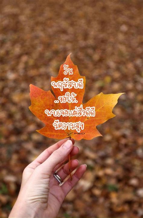 ปักพินโดย Kritsana Suntiari ใน วันพฤหัสบดี แก้ว สวัสดีตอนเช้า อรุณสวัสดิ์