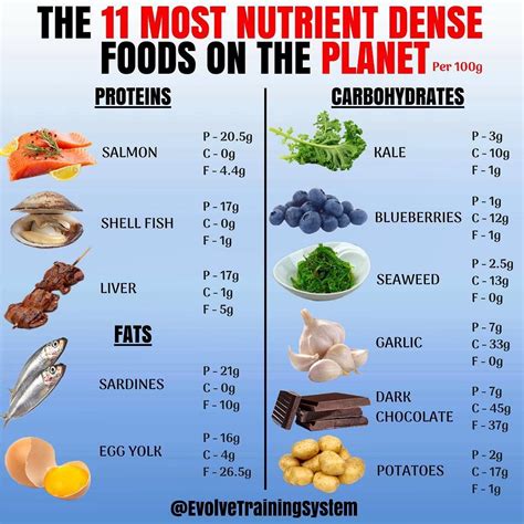 🔥11 Most Nutrient Dense Foods🔥 By Evolvetrainingsystem I Realized I