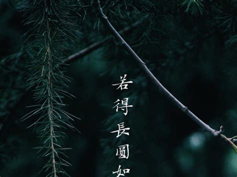 小楷 无何有镜 站酷ZCOOL