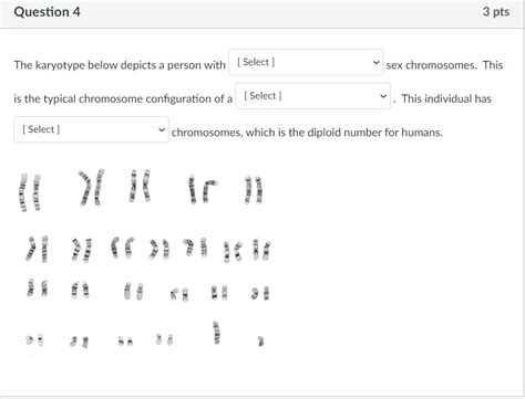 The Karyotype Below Depicts A Person With Is The