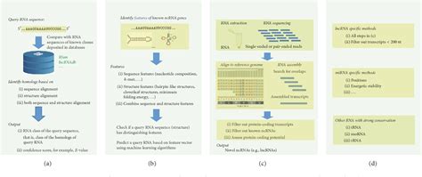 Figure 1 From A Review On Recent Computational Methods For Predicting