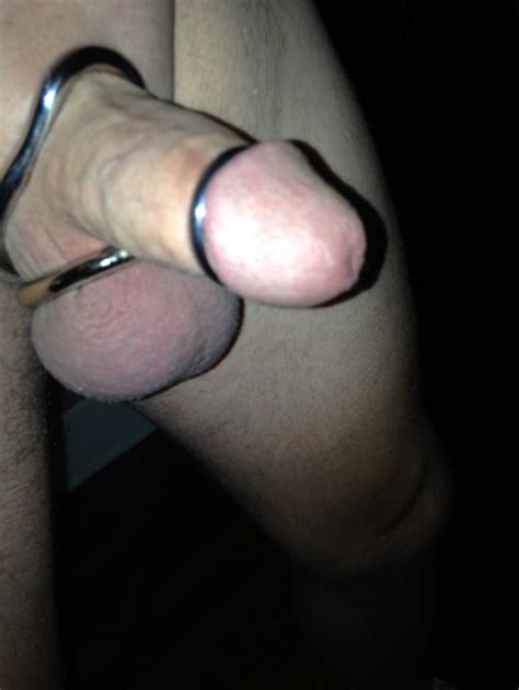 Three Ring Circus The Chain Gang Piercing Pictures