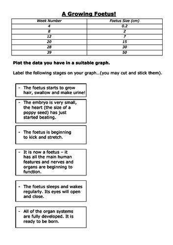 Growth Of A Foetus Graph Plotting Activity Ks3 Reproductionskills