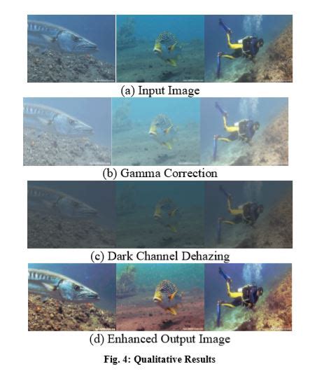 underwater image processing projects