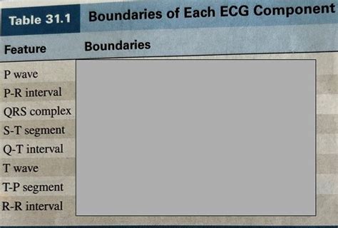 P Wave Diagram Quizlet