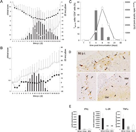Active Eae Induction In Memory Rats A Eae Induction By Mbp Cfa Download Scientific