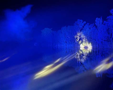 The 10 Best Things To Do In Moama Tripadvisor