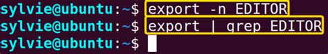 The “export” Command In Linux 8 Practical Examples