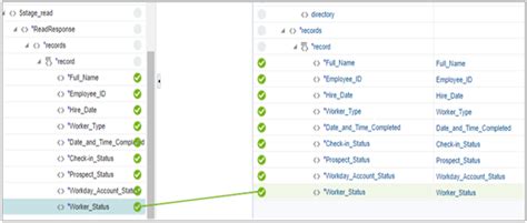 Process Raas Reports That Support The Delivery Of Data In Csv Format