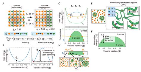 Binary Regular Solution Model And Its Phase Behaviors A A Binary
