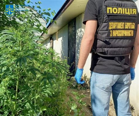 На Хмельниччині затримано неодноразово судимого затятого наркодилера ФОТО Магнолія ТВ