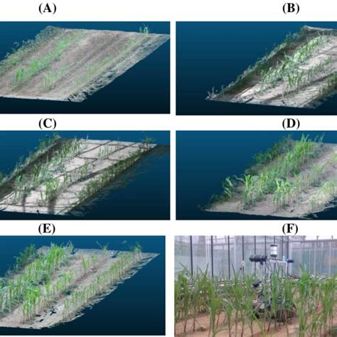 Pdf Using Terrestrial Photogrammetry For Leaf Area Estimation In Maize Under Different Plant