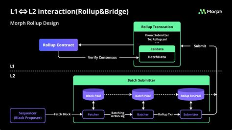 Morph Modular Blockchain Innovation