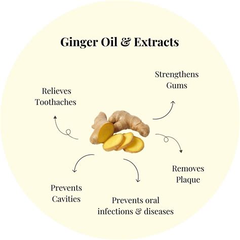 Ginger Mint Toothpaste